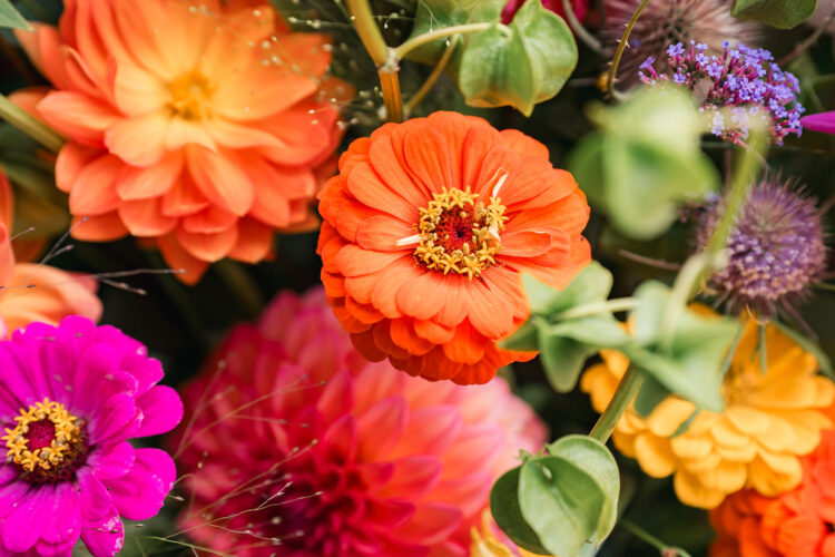 The Ultimate Farm Wedding at Gorwell, Dorset - clearlywildphotography.com
